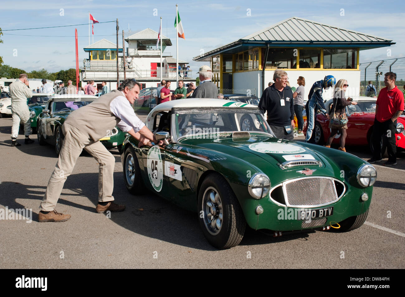 Austin Healeys in the assembly area before the Big Healey race at ...