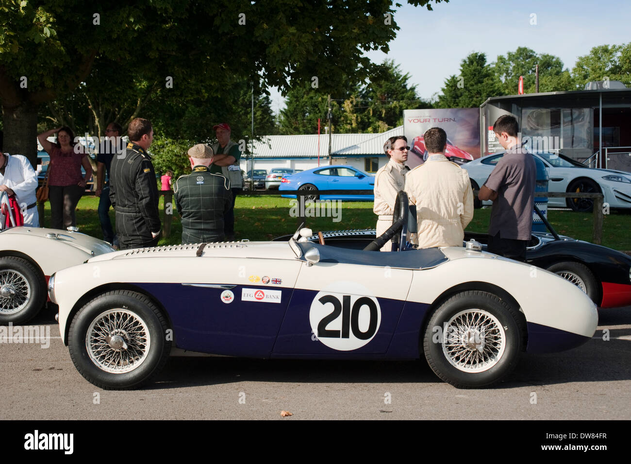 Austin Healeys in the assembly area before the Big Healey race at ...