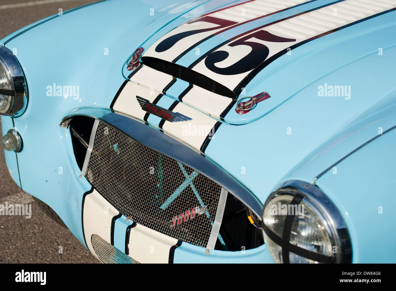 Austin Healeys in the assembly area before the Big Healey race at ...