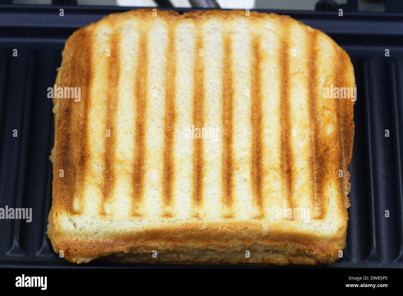 Toasted sandwich in toaster, close up Stock Photo - Alamy