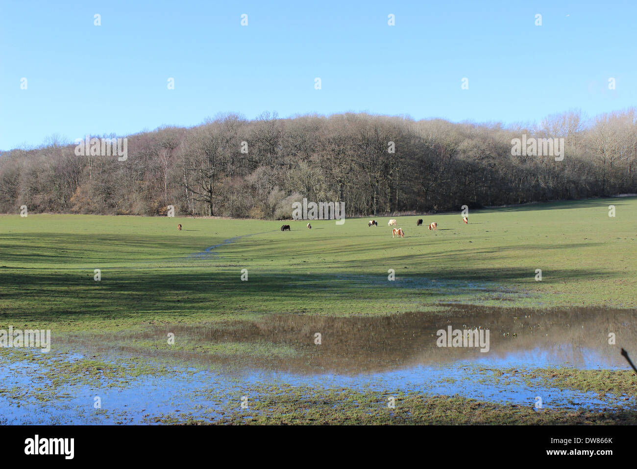 Flooder hi-res stock photography and images - Alamy