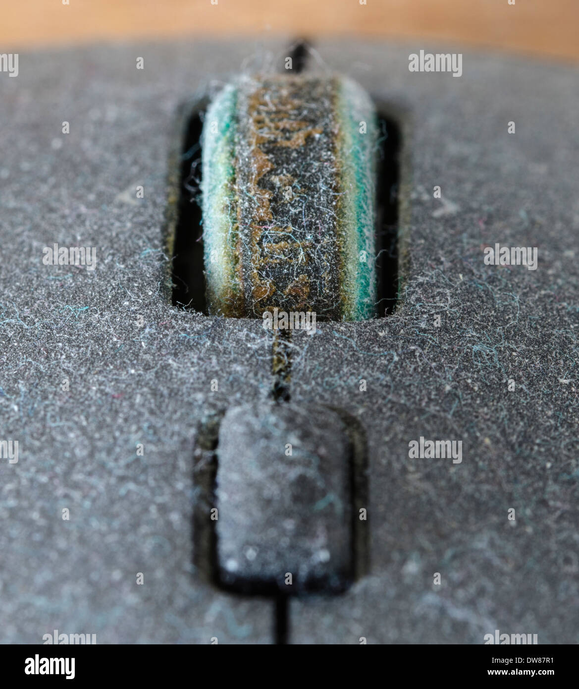 Dust. Top side of a computer mouse covered in dust Stock Photo - Alamy