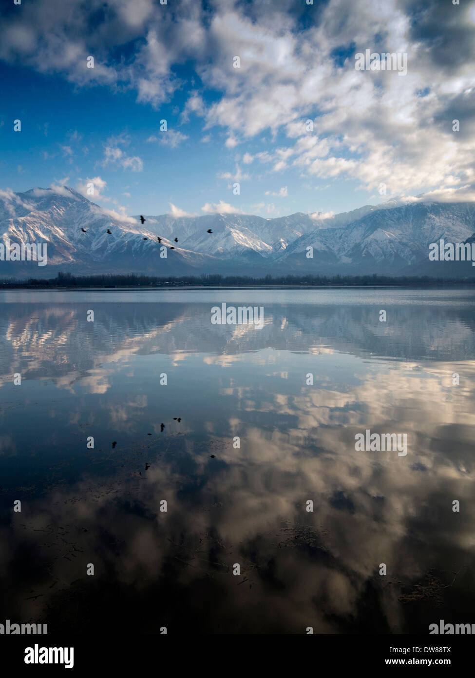 India kashmir srinagar winter snow hi-res stock photography and images ...