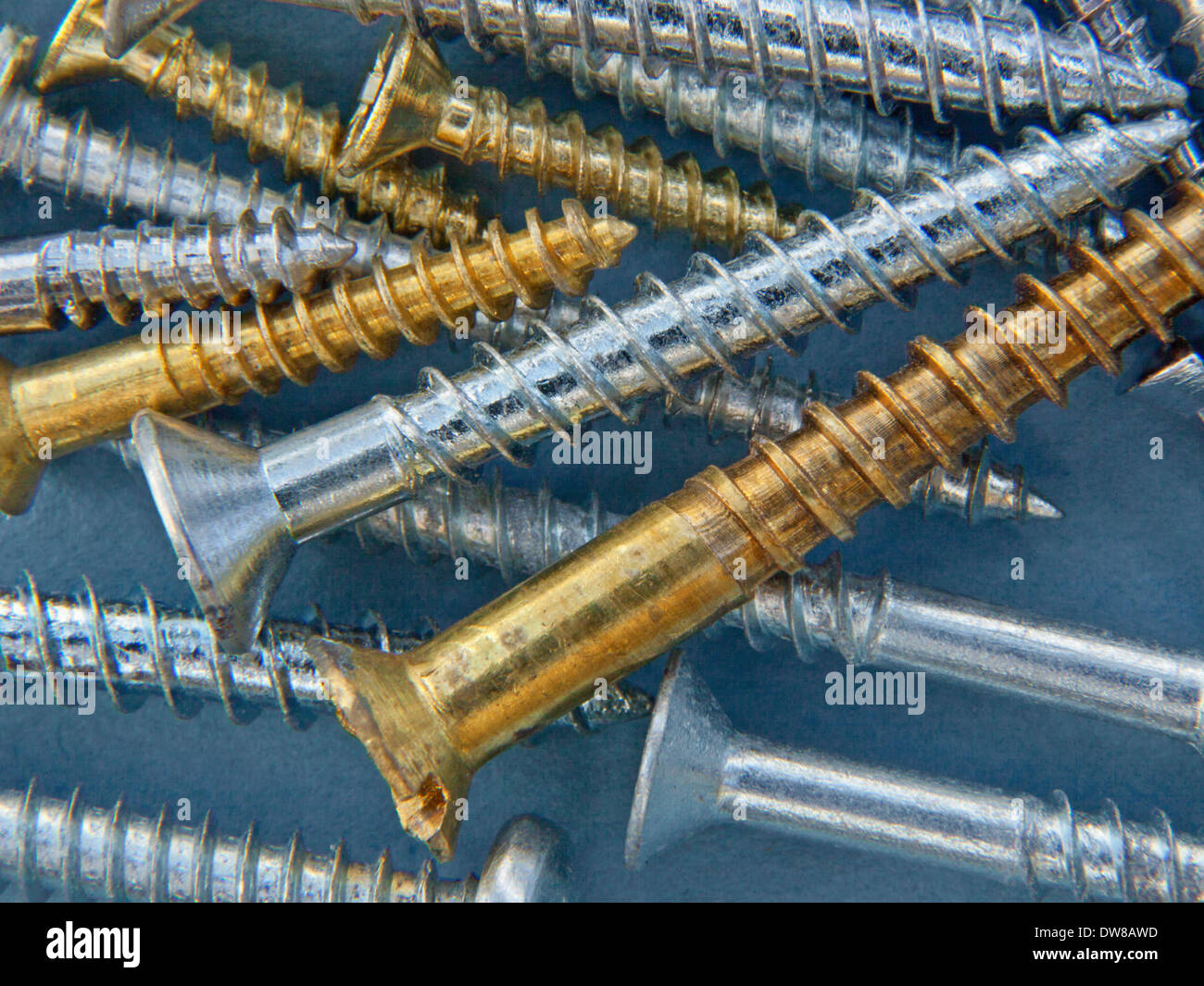 Close up of cross headed screws Stock Photo - Alamy