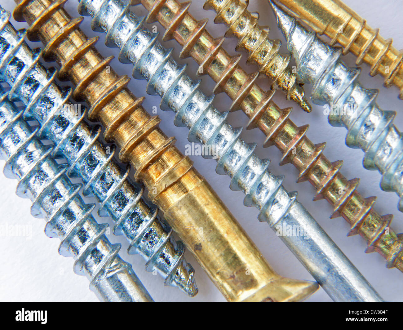Macro shot of cross headed screws Stock Photo - Alamy