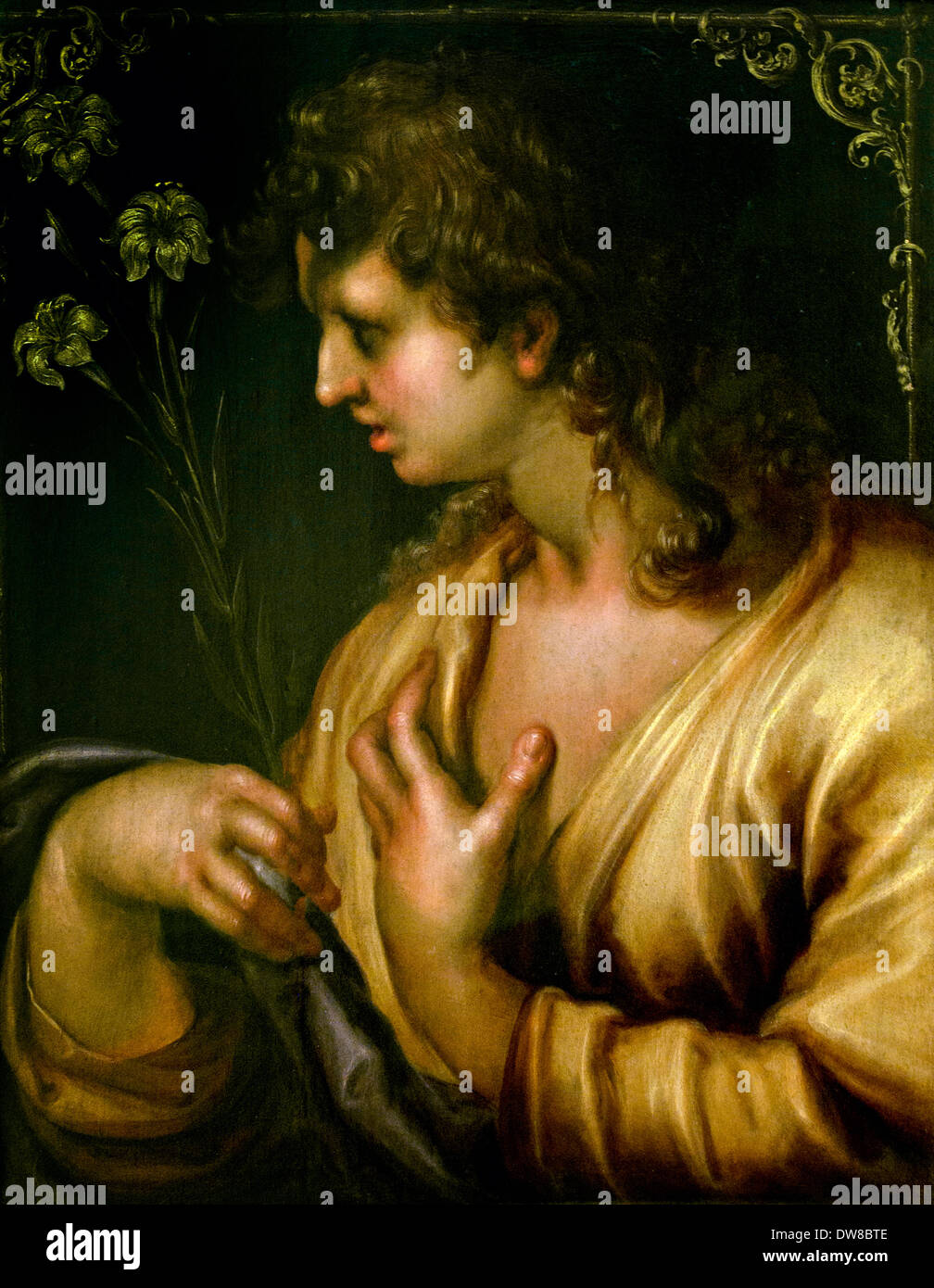 Promulgation High Resolution Stock Photography and Images - Alamy