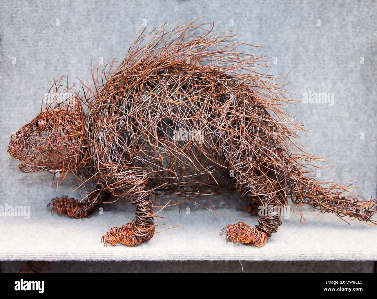 PORCUPINE, WIRE ART Stock Photo - Alamy