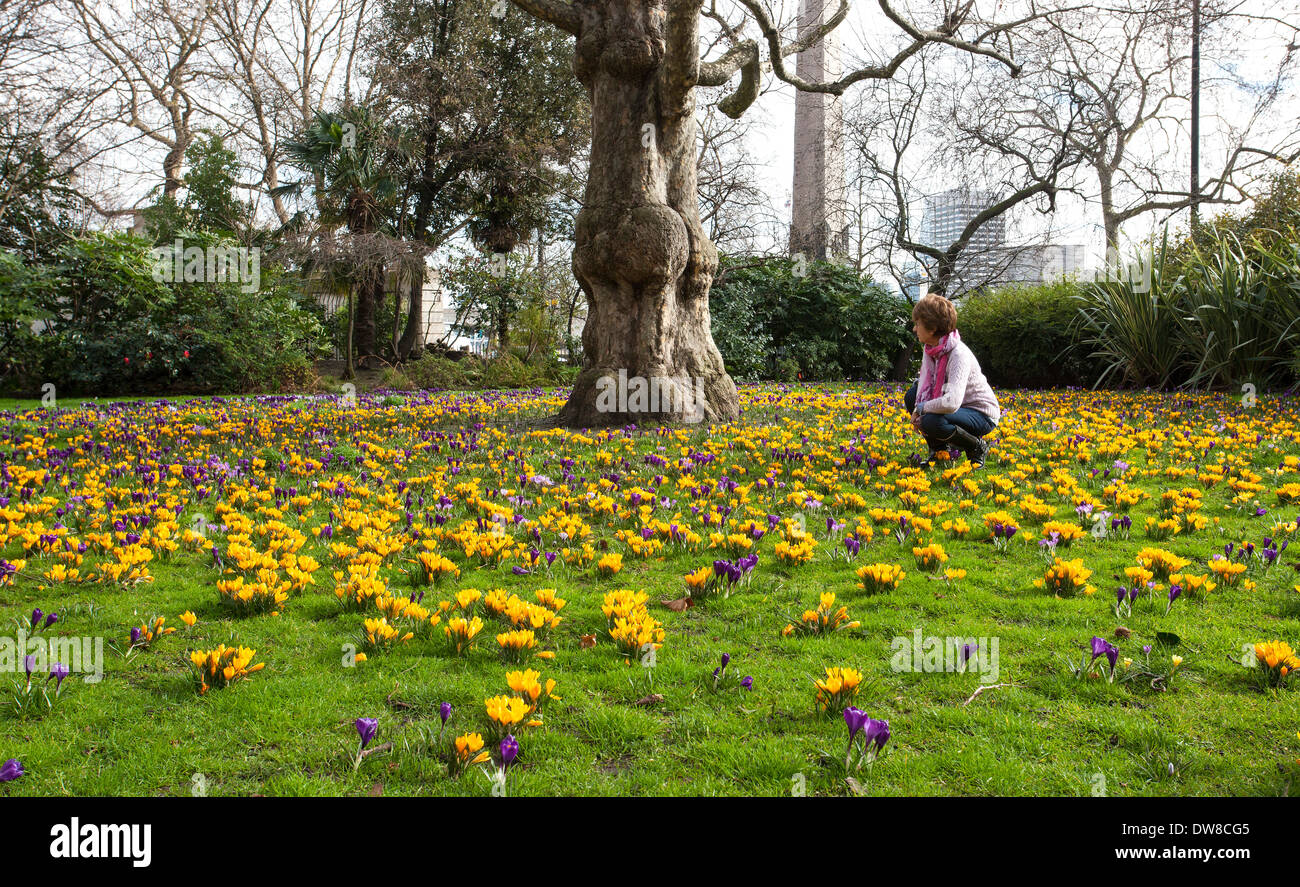 Lady spring hi-res stock photography and images - Alamy