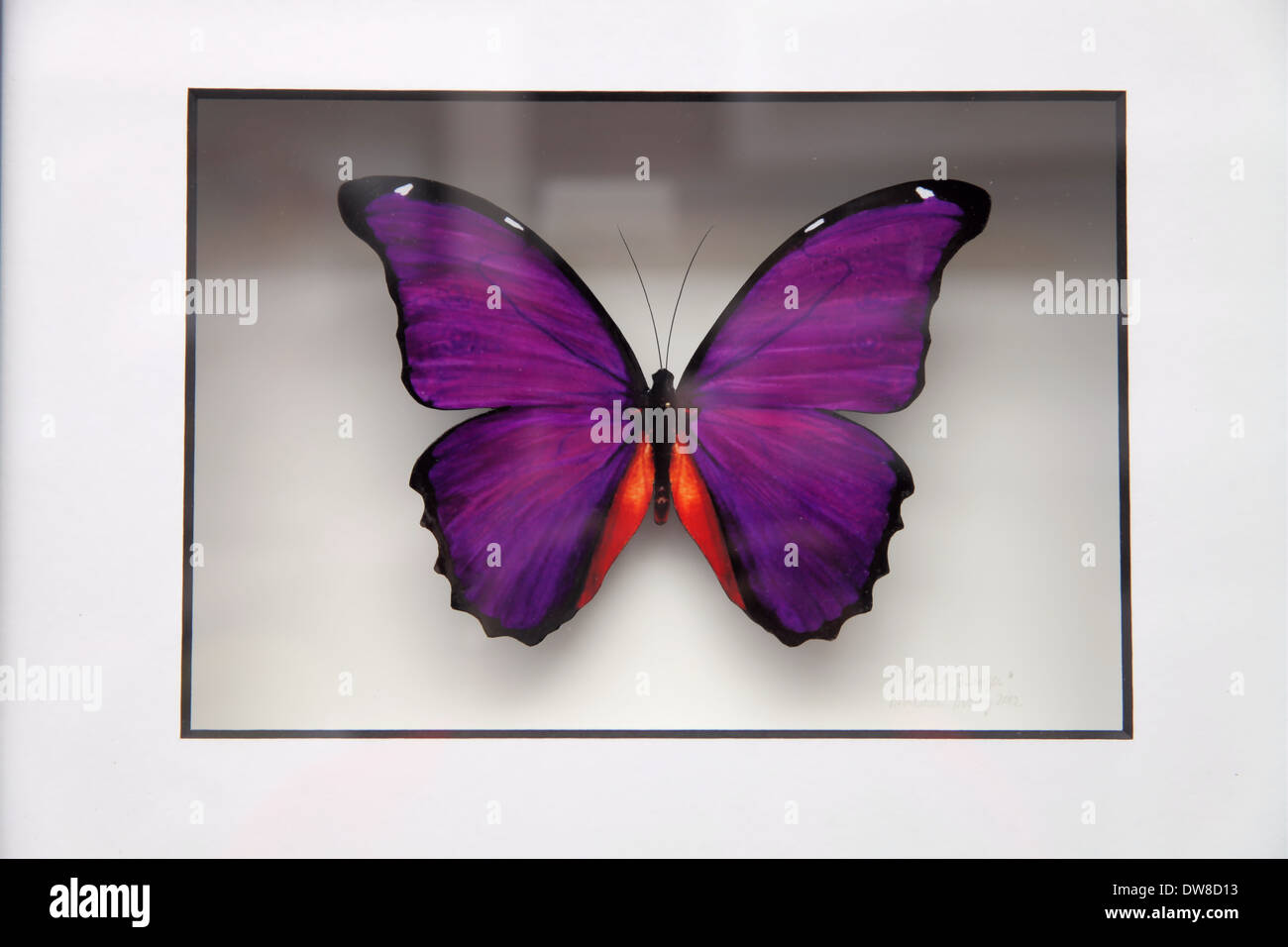 Maroon hi-res stock photography and images - Alamy