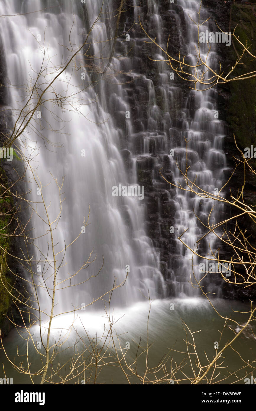 Falling Foss, May Beck, North Yorkshire Stock Photo - Alamy