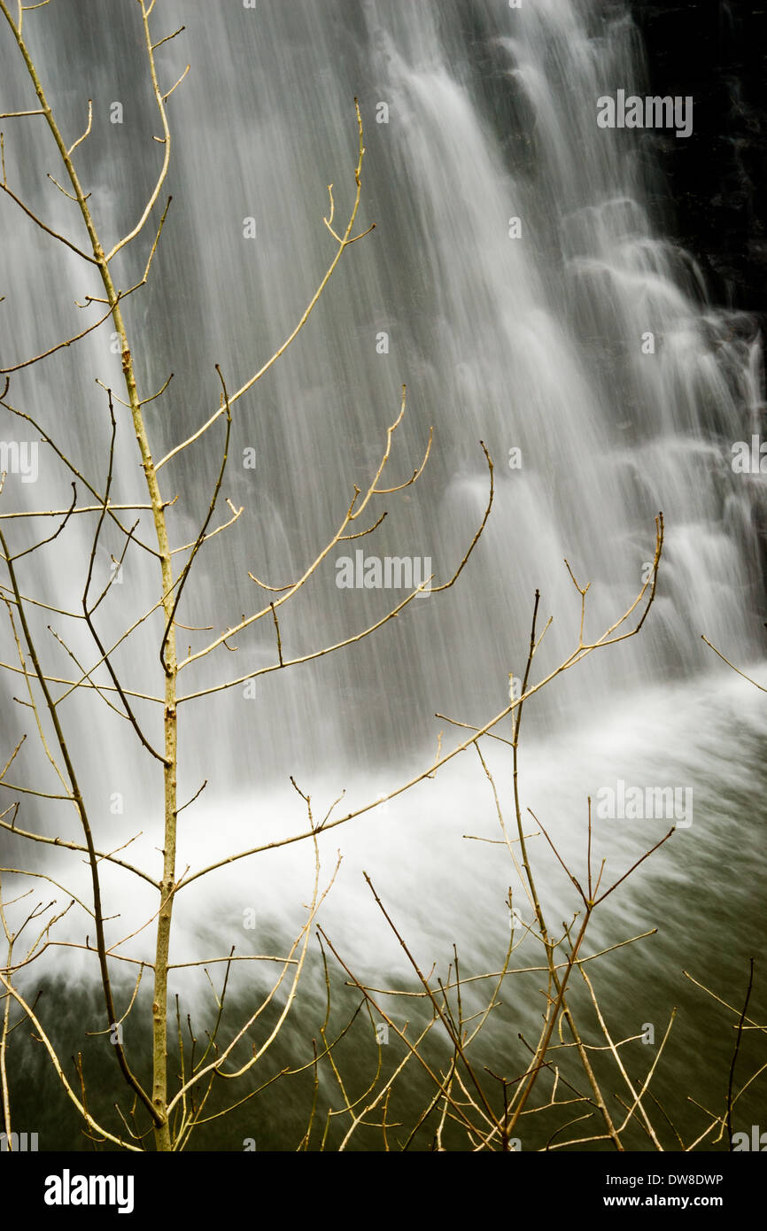 Falling Foss, May Beck, North Yorkshire Stock Photo - Alamy