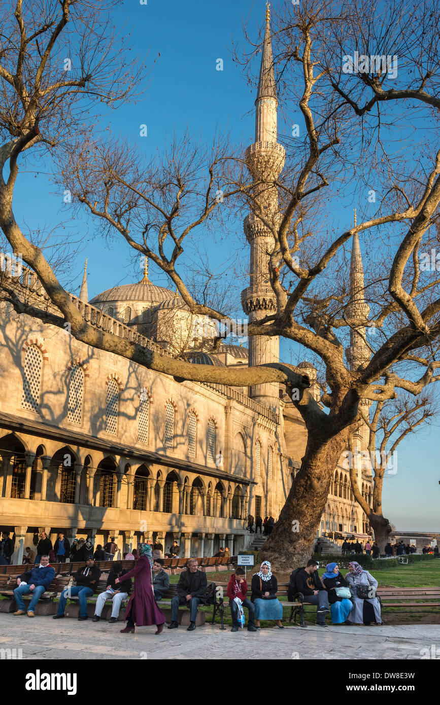 Architect sedefkar mehmed agha hi-res stock photography and images - Alamy