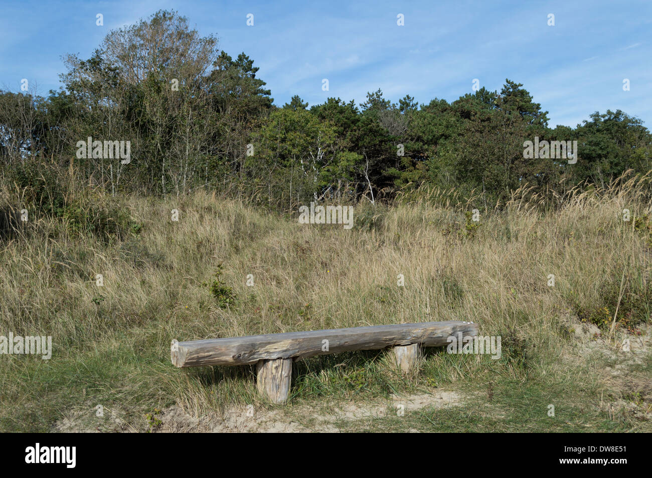 Bench nature hi-res stock photography and images - Alamy