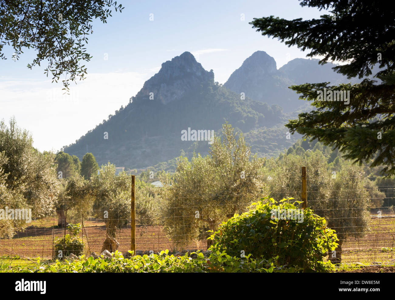 Two mountain tops. Garden view with two mountain tops, Soller, Mallorca ...