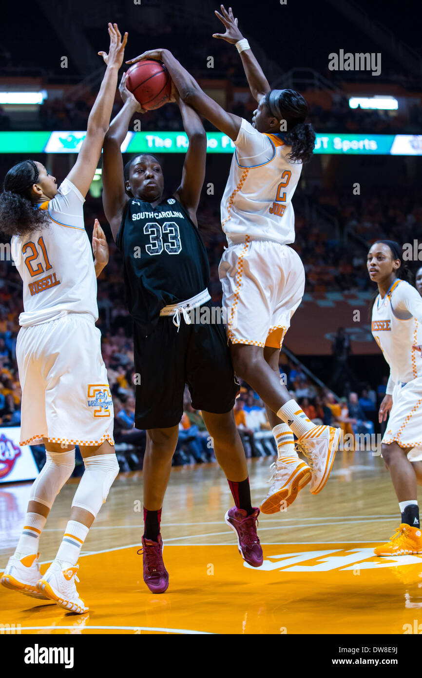 Carolina jasmine hi-res stock photography and images - Alamy