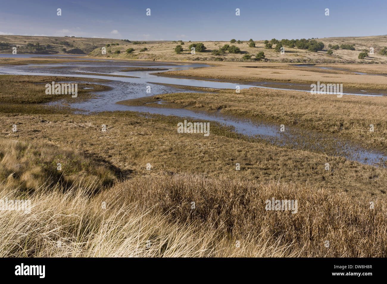 Drakes estero hi-res stock photography and images - Alamy