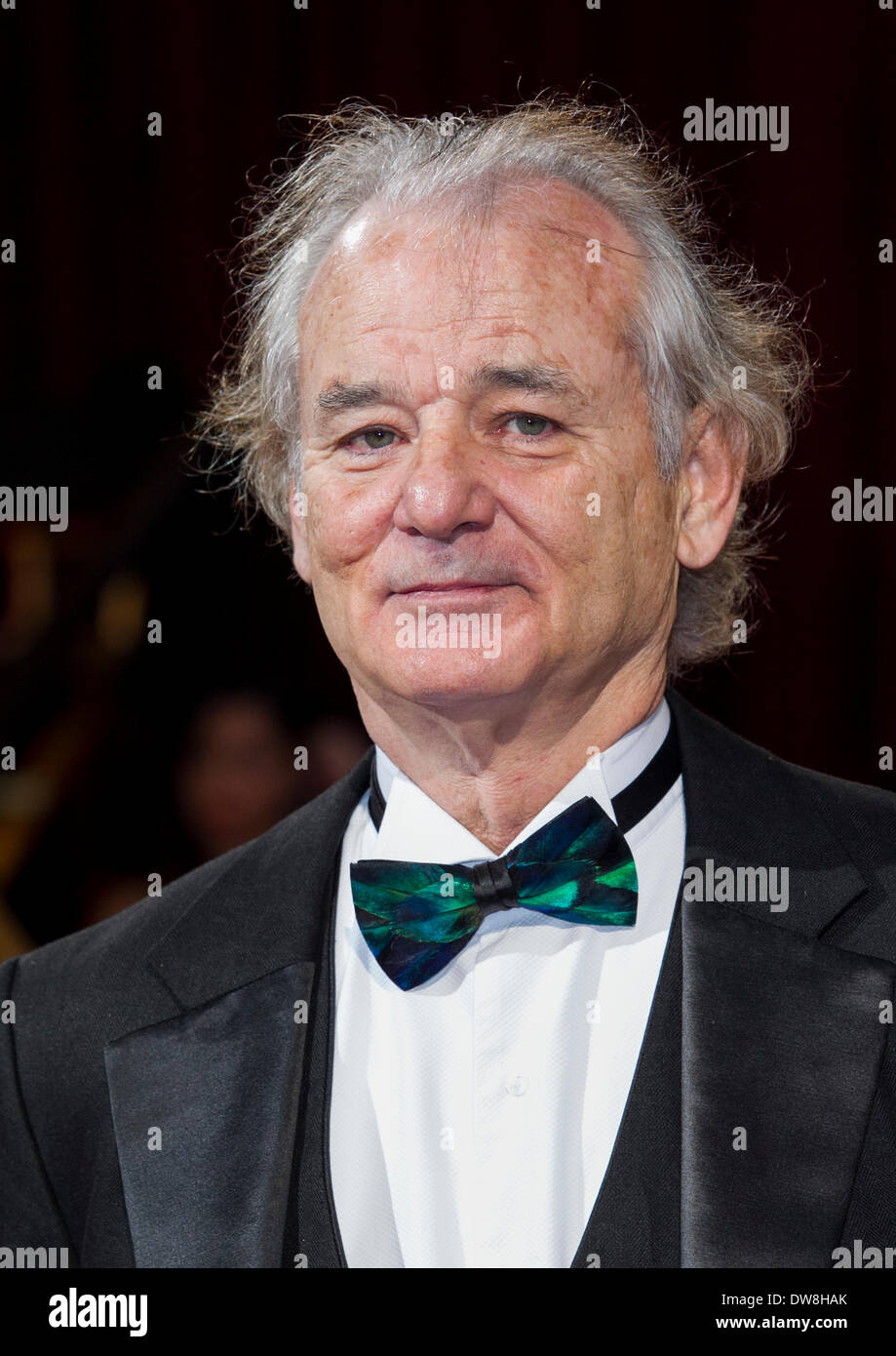 Bill Murray Young