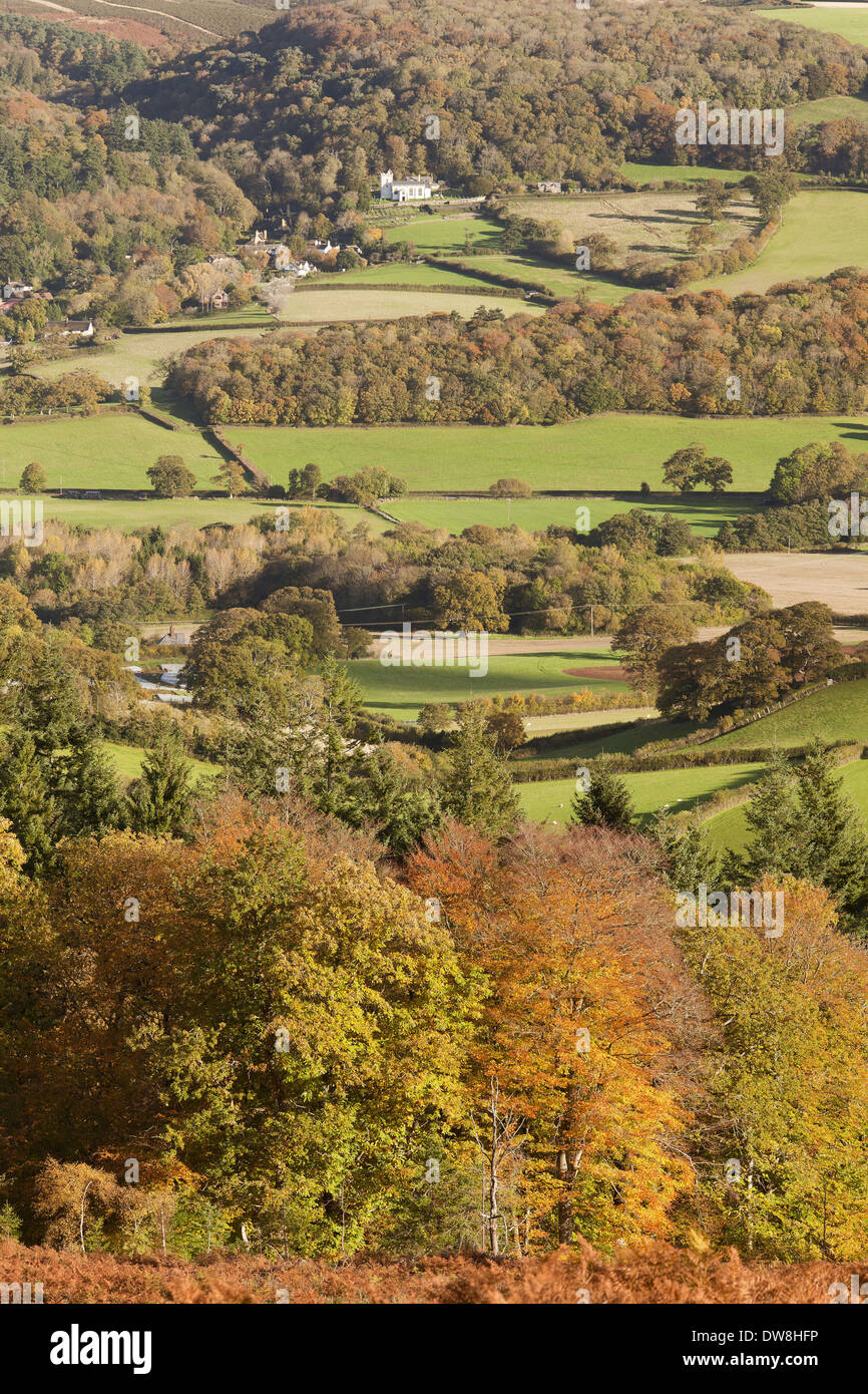 Opposite colors in nature hi-res stock photography and images - Alamy