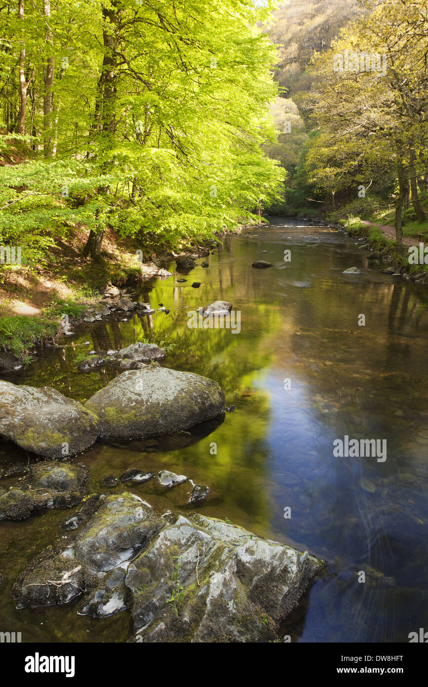 View along river on sunny spring morning with reflections of trees ...