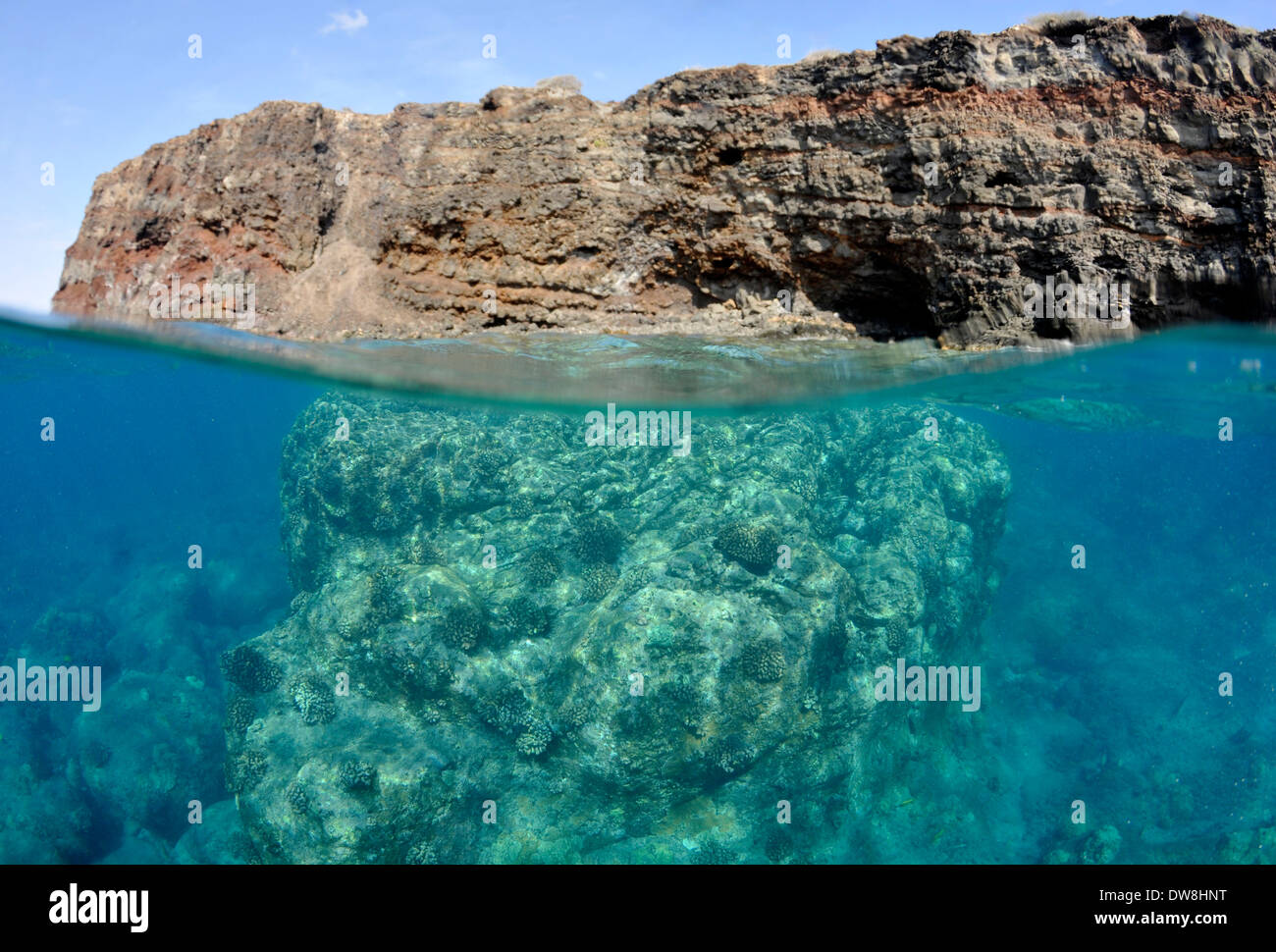 Boulder underwater hi-res stock photography and images - Alamy