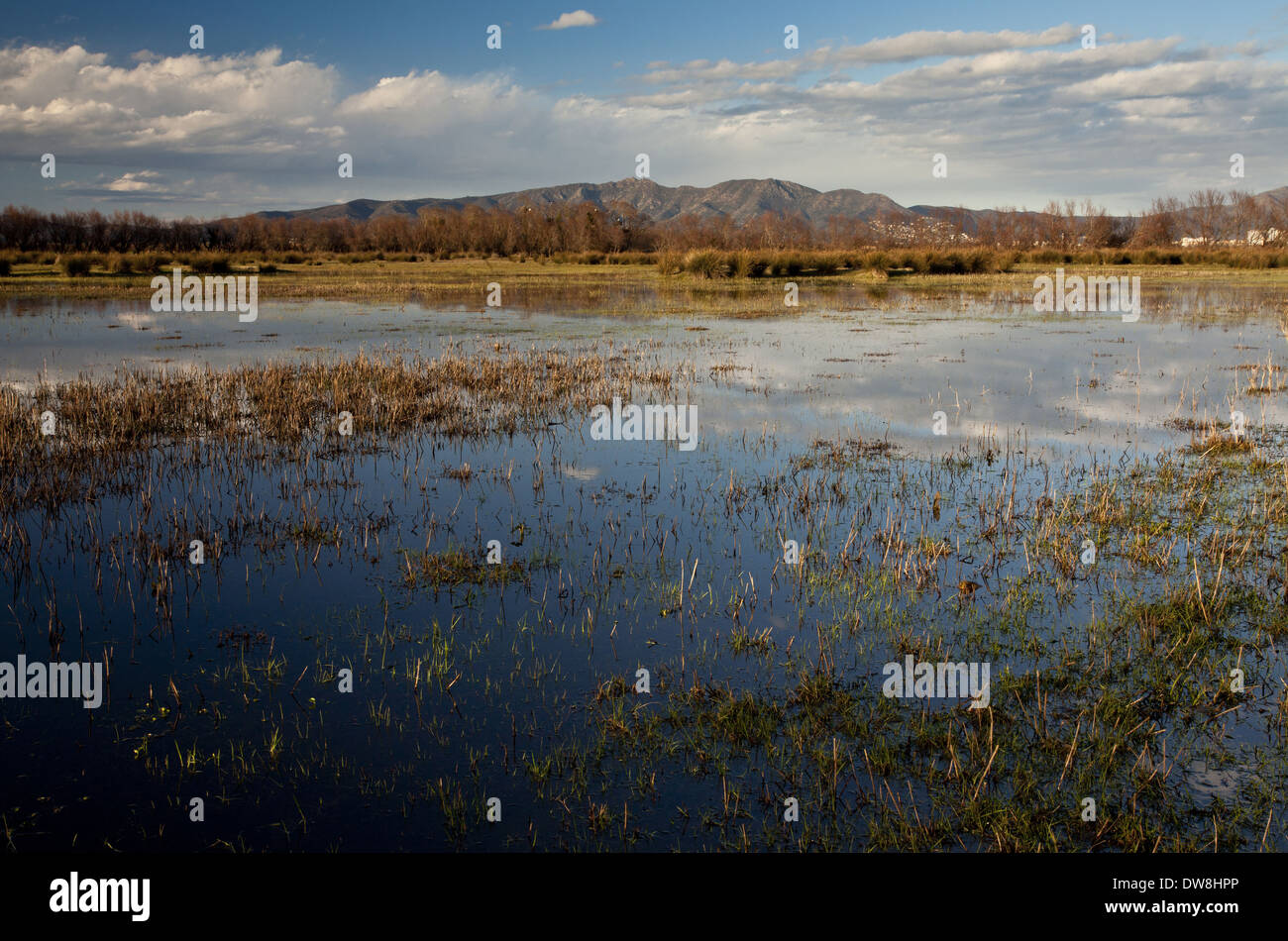 Marismas marismas hi-res stock photography and images - Alamy