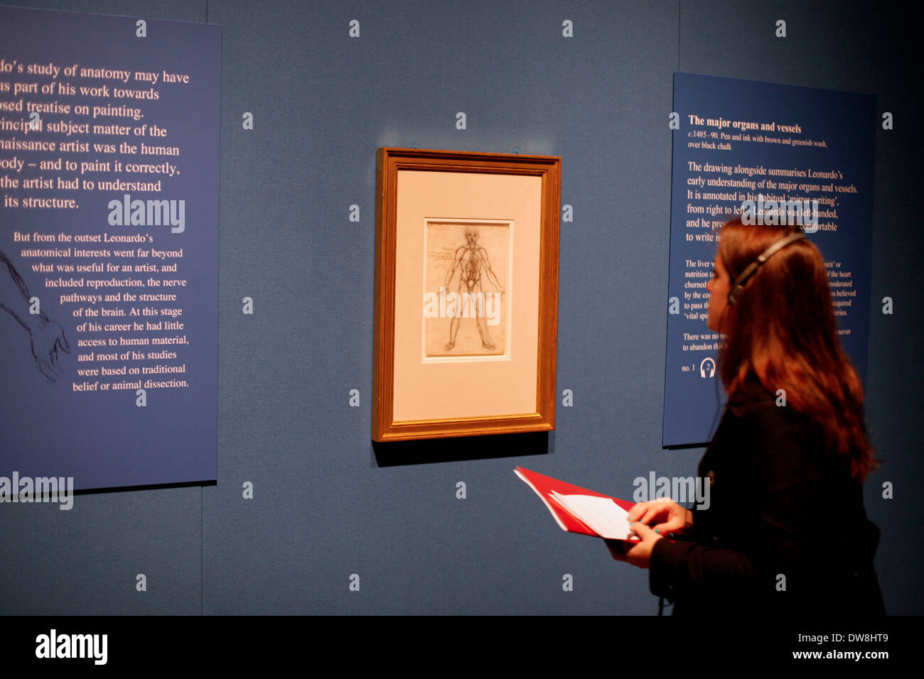 Artist Leonardo da Vinci's drawing "the major organs and vessels, c ...