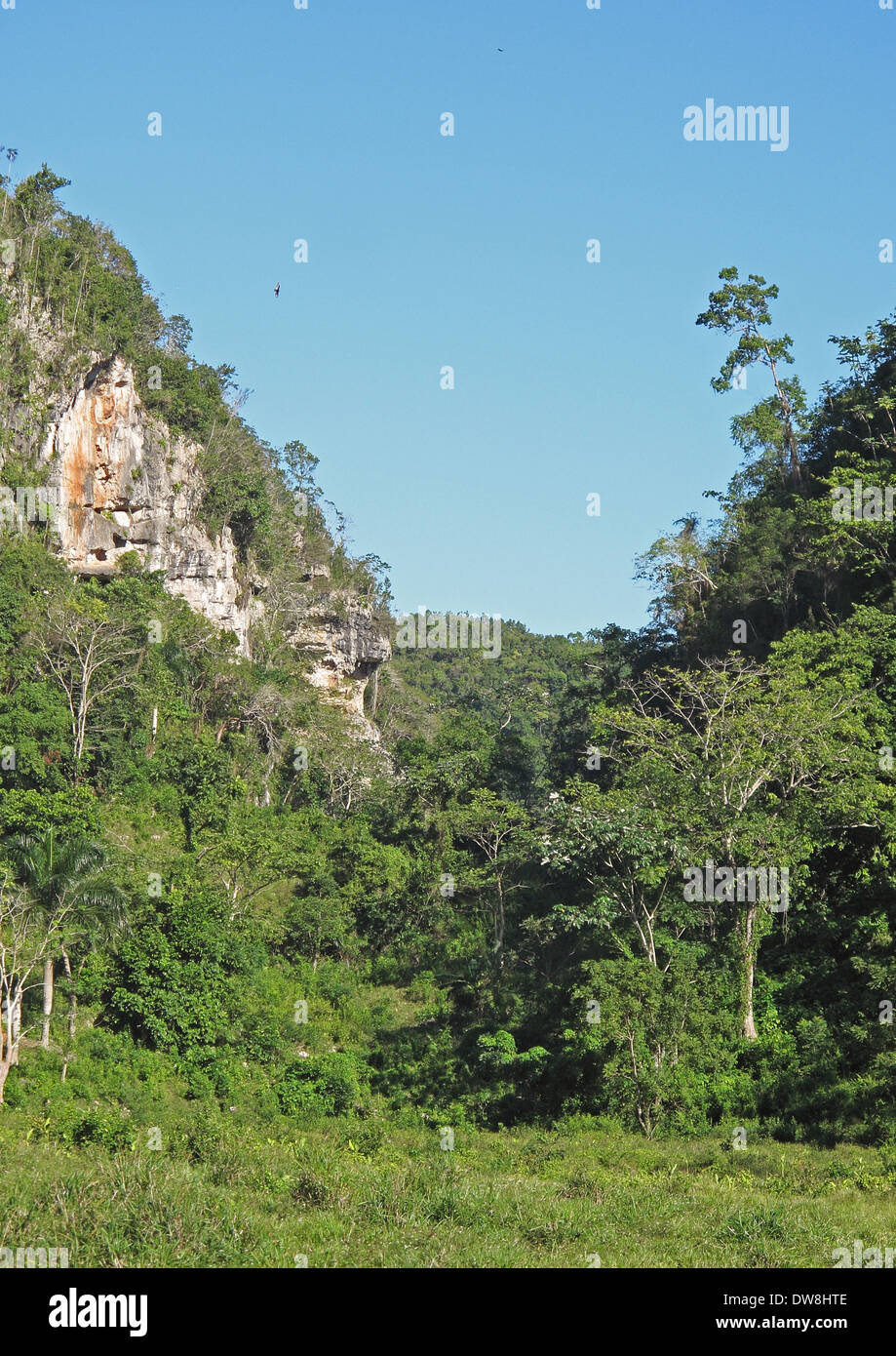 View on karst landscape hi-res stock photography and images - Alamy