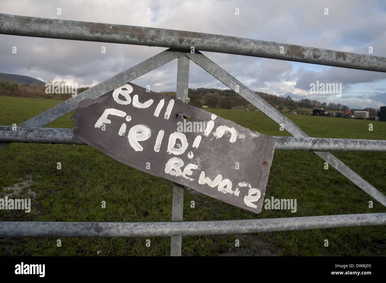 Beware bull warning sign on hi-res stock photography and images - Alamy