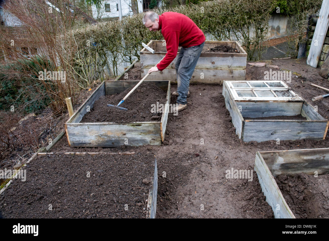 Building a hotbed, filling hotbed with earth Stock Photo - Alamy