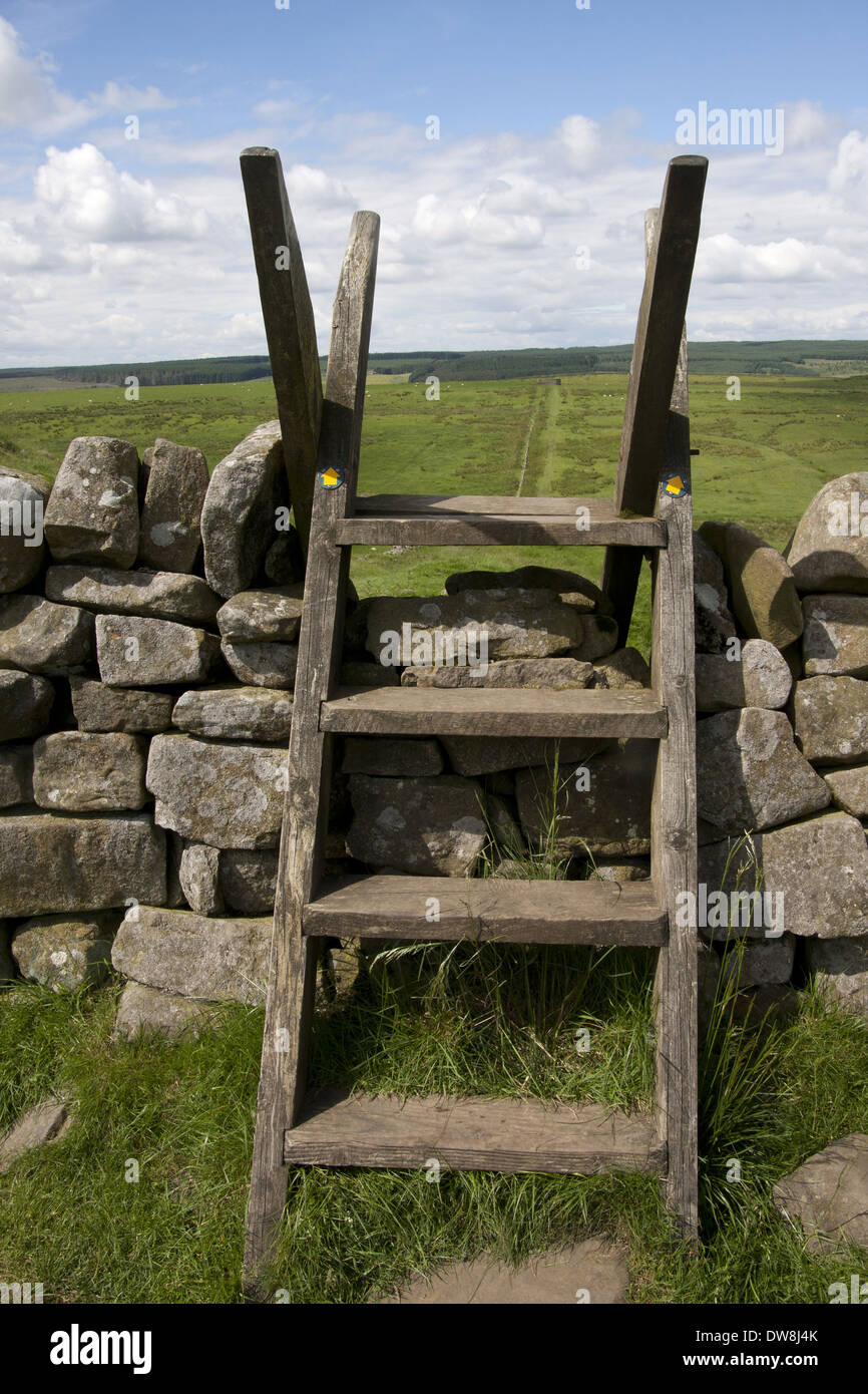 Ladder stile summer hi-res stock photography and images - Alamy
