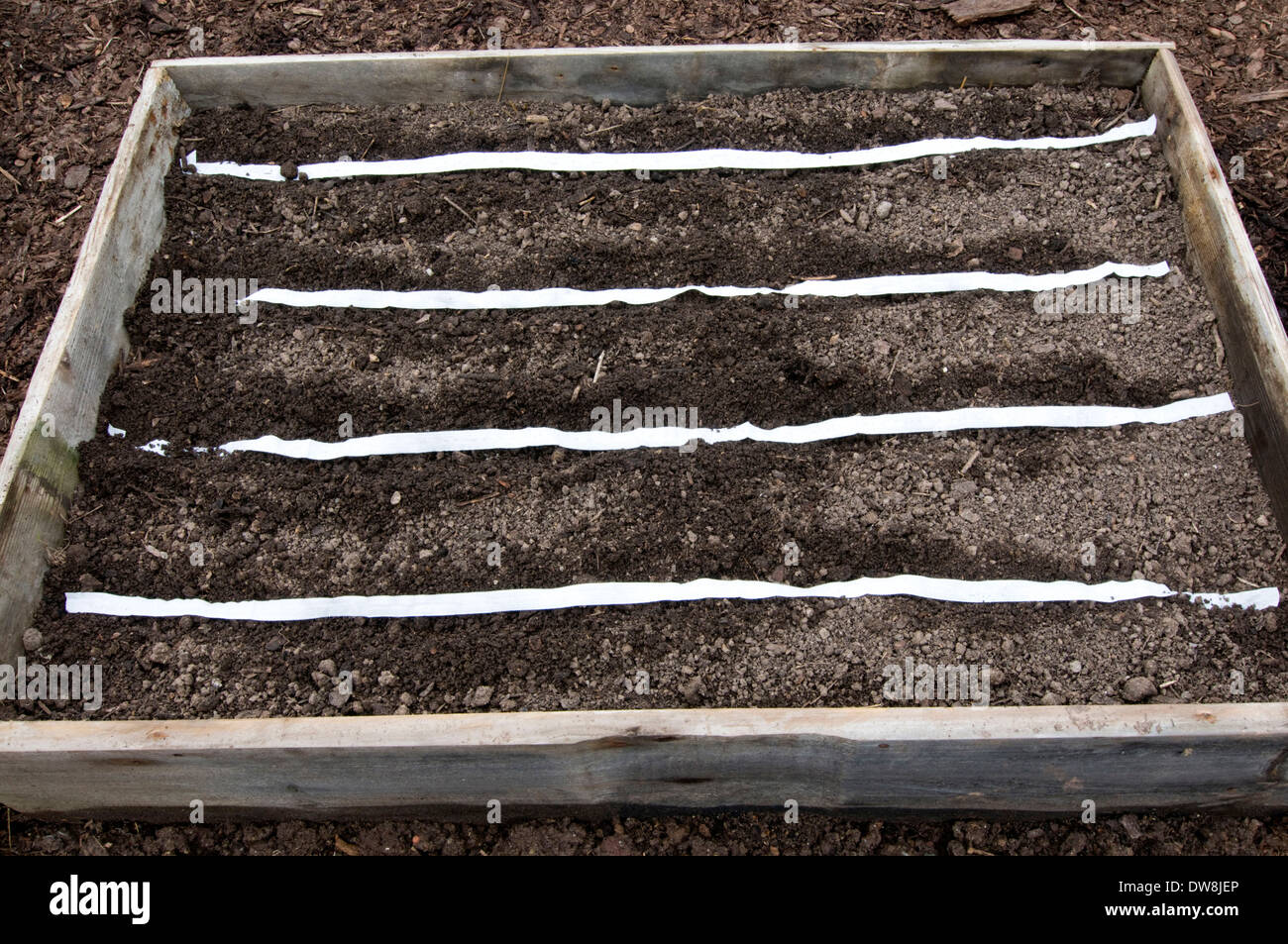 Seed Strip High Resolution Stock Photography and Images - Alamy