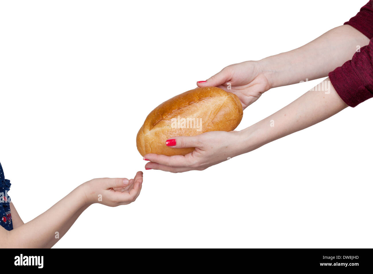 Child takes bread from mother's hands isolated on white background ...