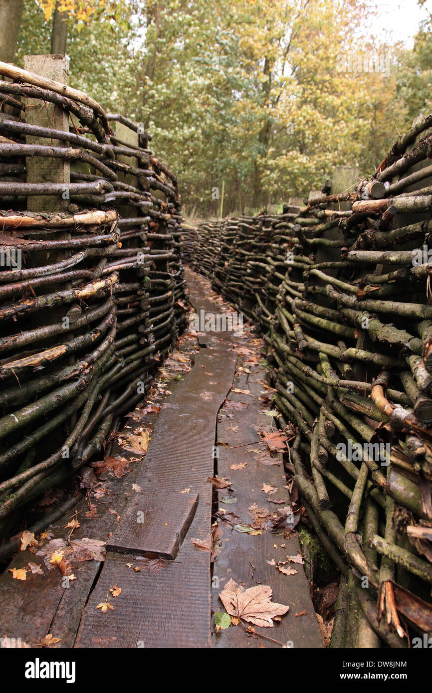 German trenches WWI - Bayernwald Stock Photo - Alamy