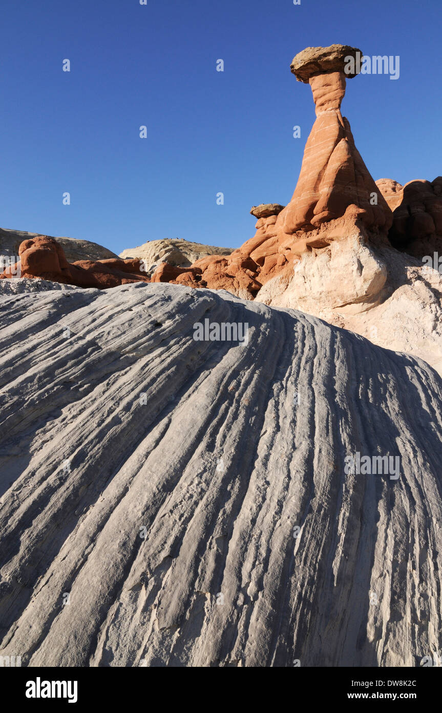 Most iconic toadstool hi-res stock photography and images - Alamy