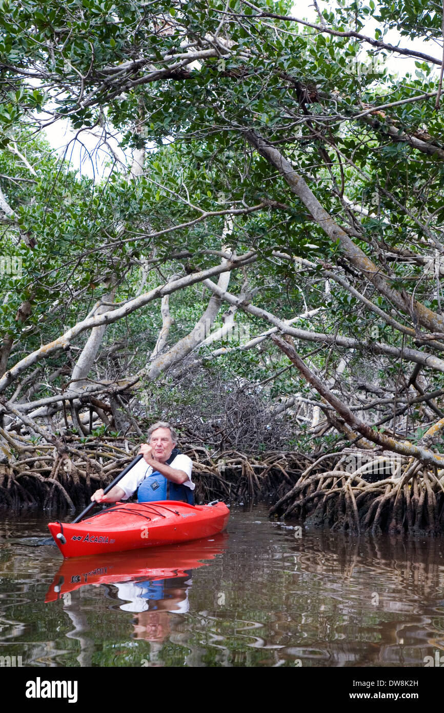 Laced with mangrove, the back-country bays of the lower Florida Keys ...