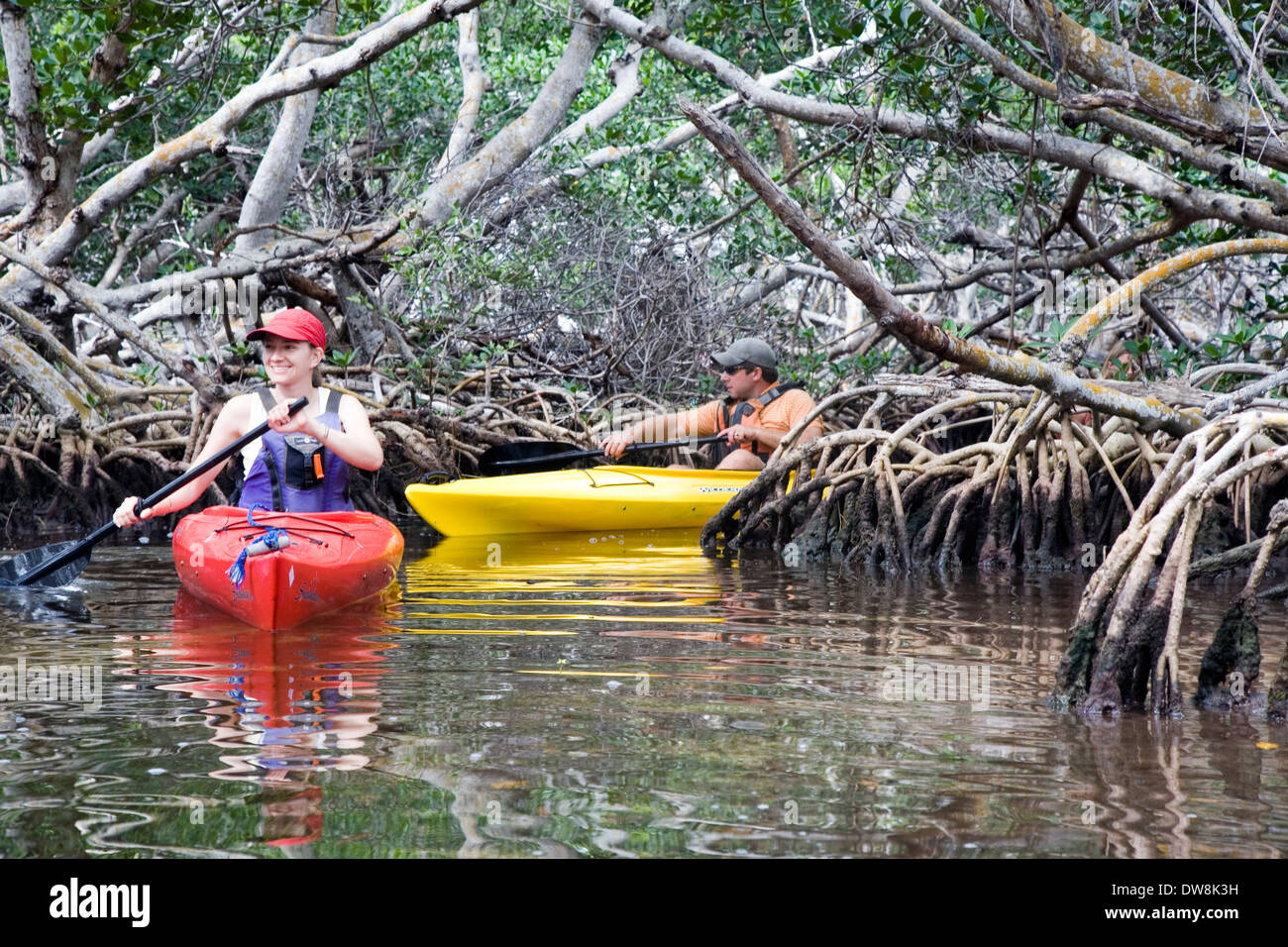 Laced with mangrove, the back-country bays of the lower Florida Keys ...