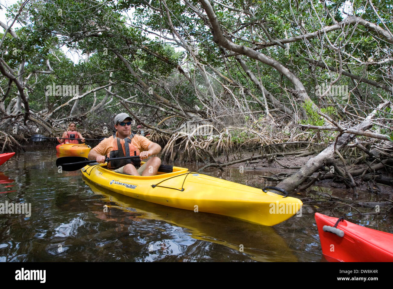 Laced with mangrove, the back-country bays of the lower Florida Keys ...