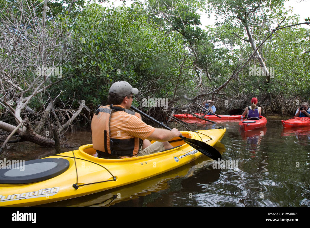 Laced with mangrove, the back-country bays of the lower Florida Keys ...