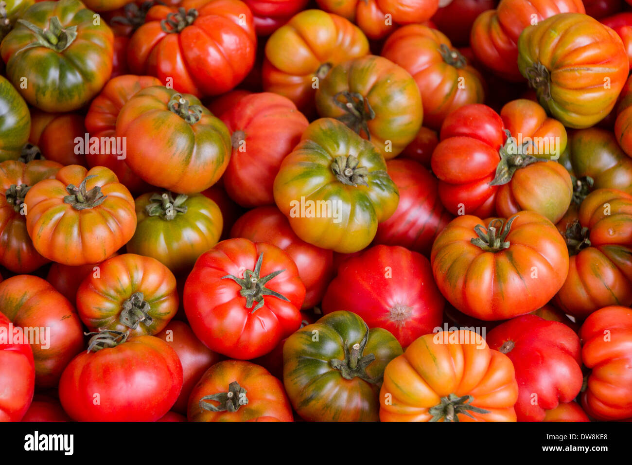 Closeup of fresh tomatoes from Campo dei Fiori Market, Rome, Italy ...