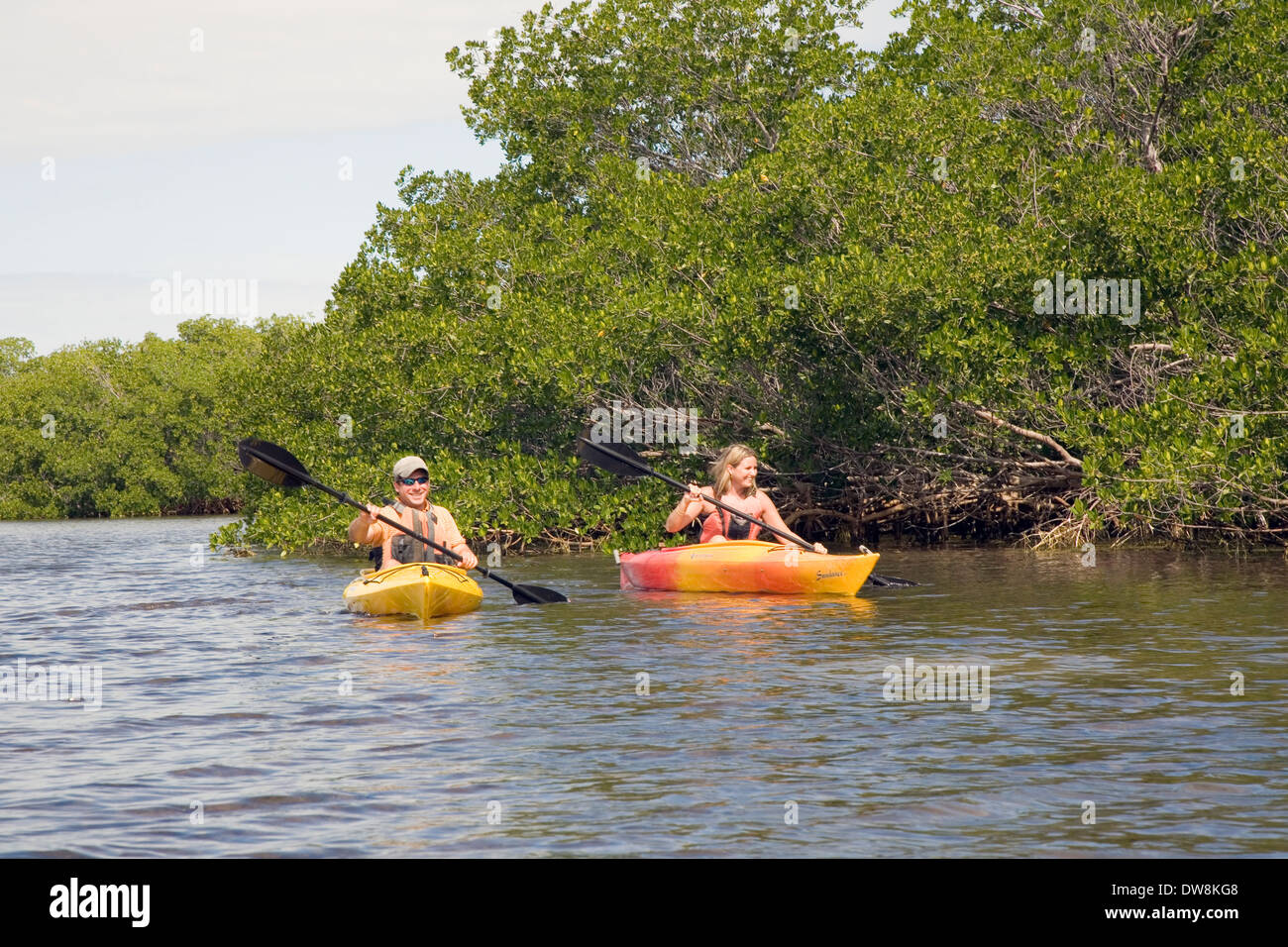 Laced with mangrove, the back-country bays of the lower Florida Keys ...