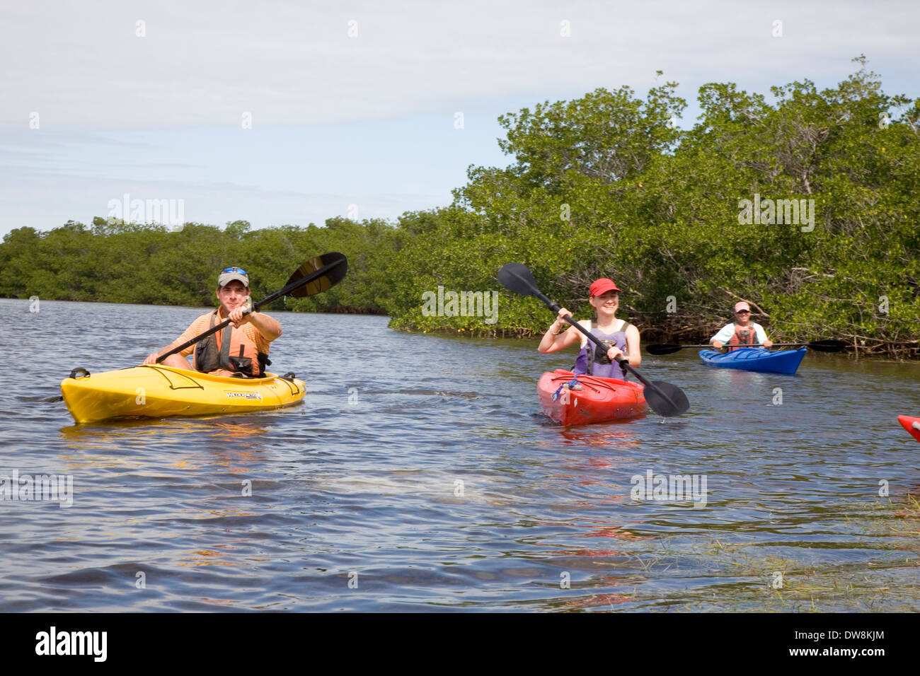 Laced with mangrove, the back-country bays of the lower Florida Keys ...
