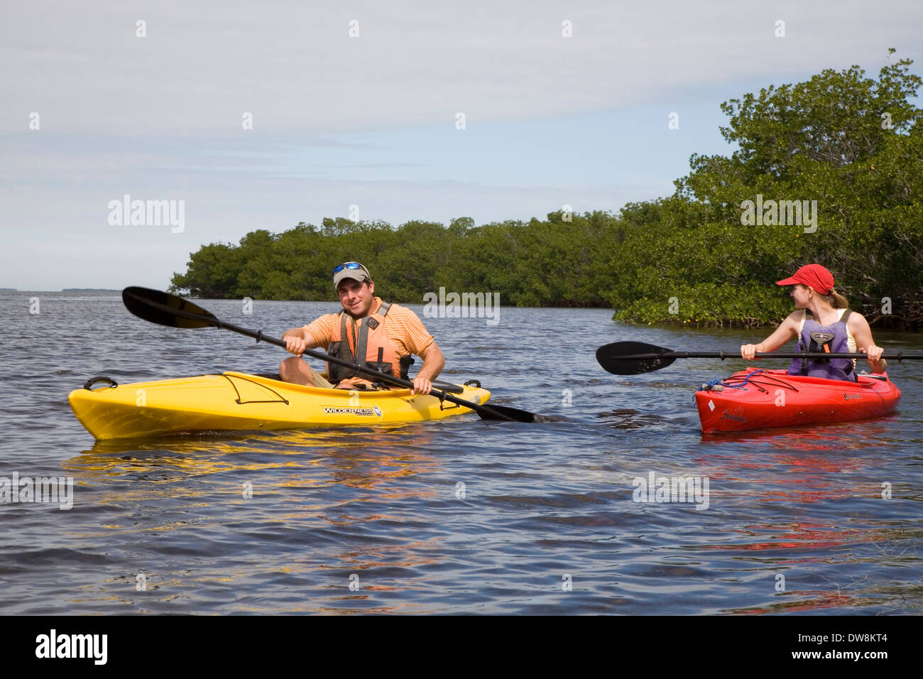 Laced with mangrove, the back-country bays of the lower Florida Keys ...