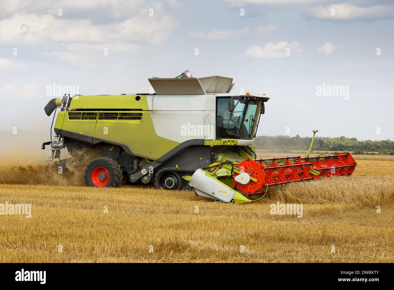 harvesting combine in the wheat field Stock Photo - Alamy