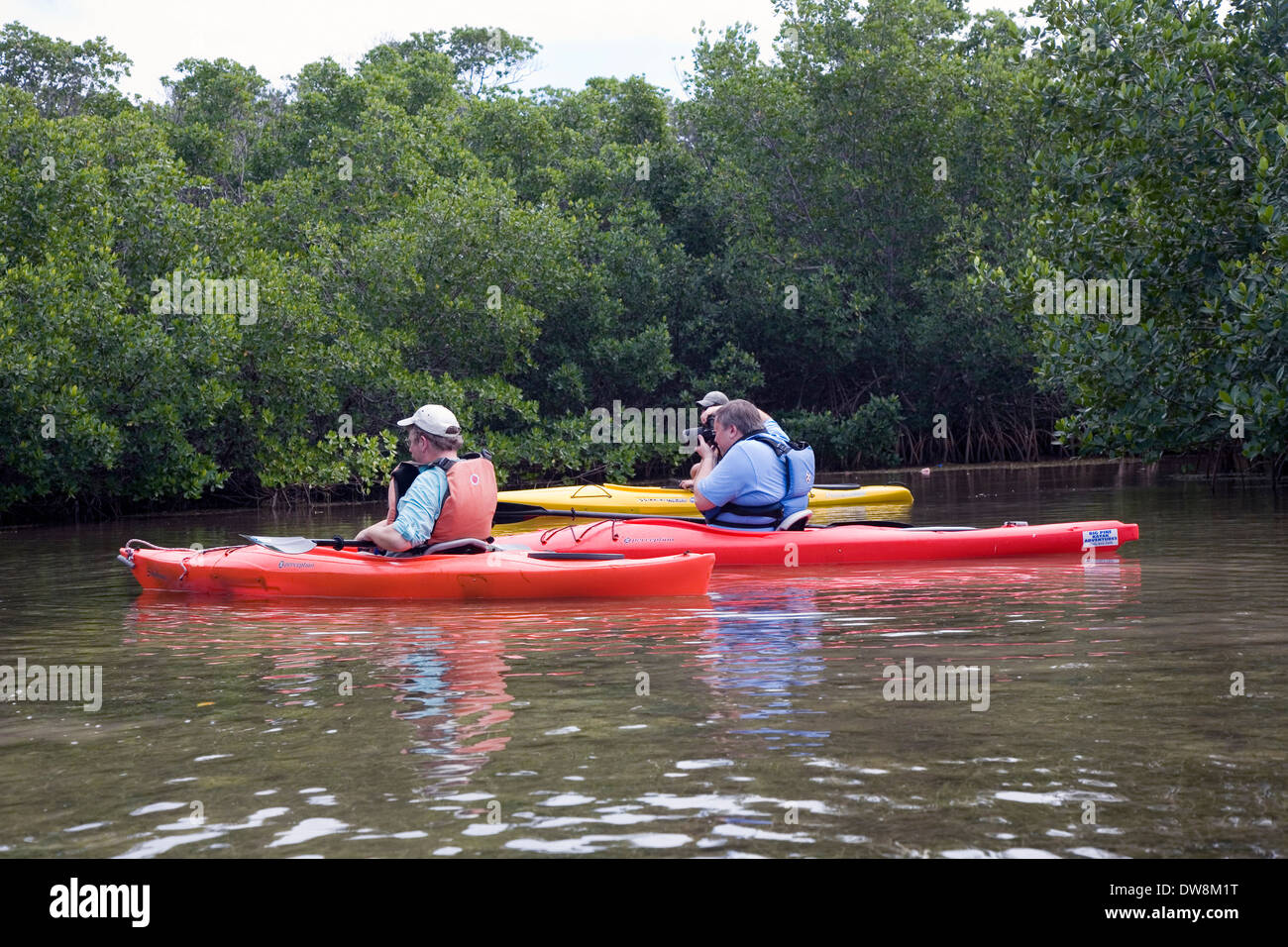 Laced with mangrove, the back-country bays of the lower Florida Keys ...