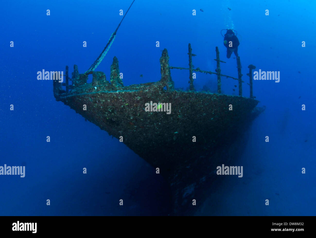 Scuba diver hovers over the bow of the Sea Tiger shipwreck, Honolulu ...