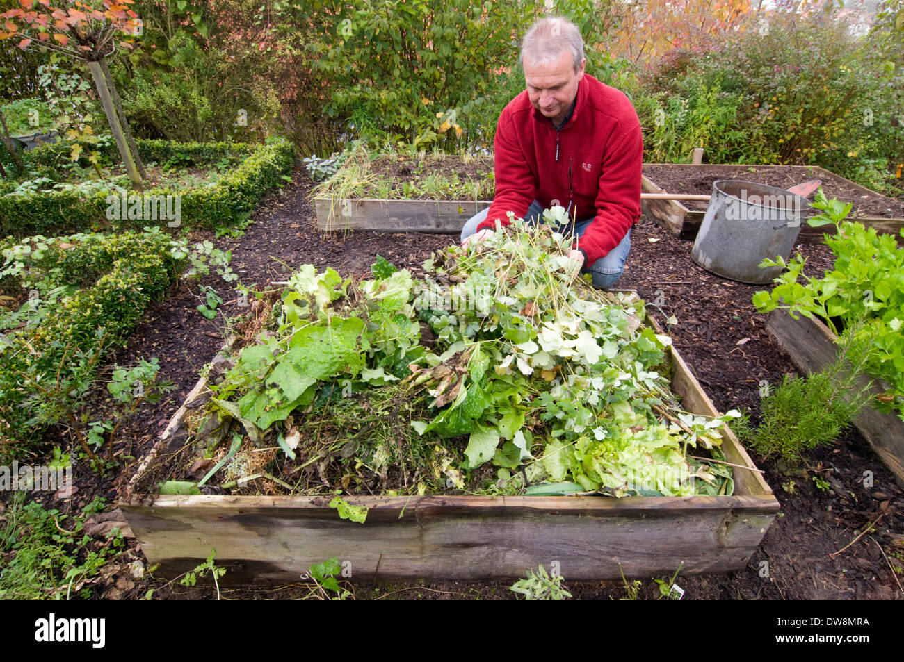 Raised bed garden hi-res stock photography and images - Alamy