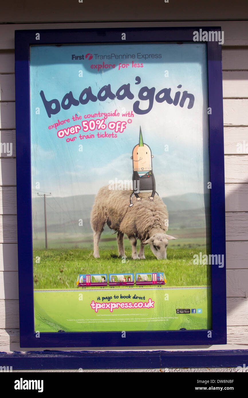 First TransPennine Express discount card advertisements Stock Photo - Alamy