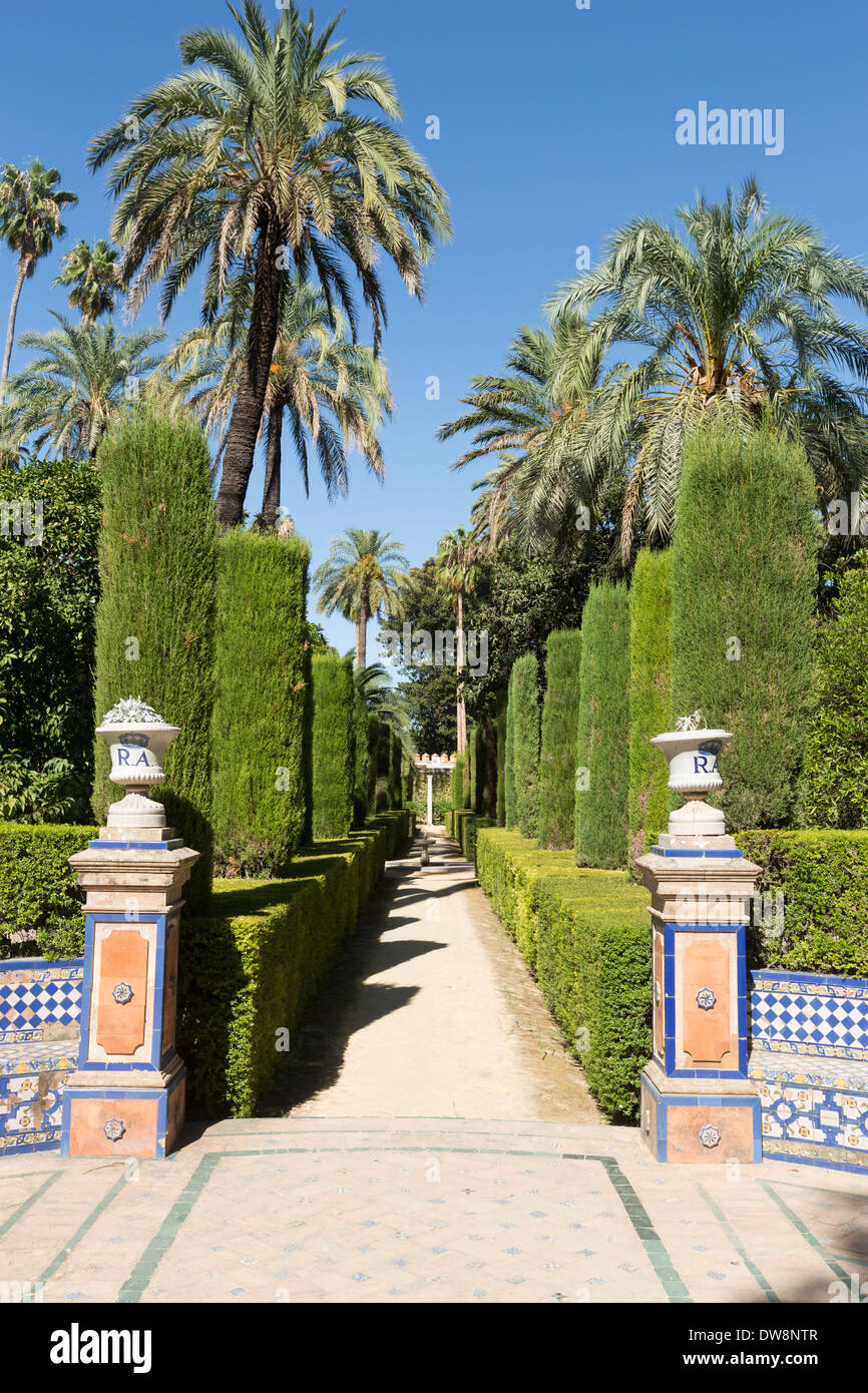 Spain Andalusia Seville Manicured hedges and palm trees in the gardens ...