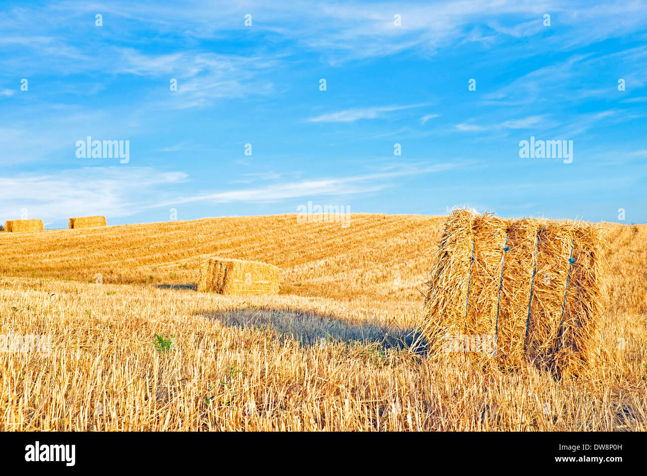 Hay bale fields hi-res stock photography and images - Alamy