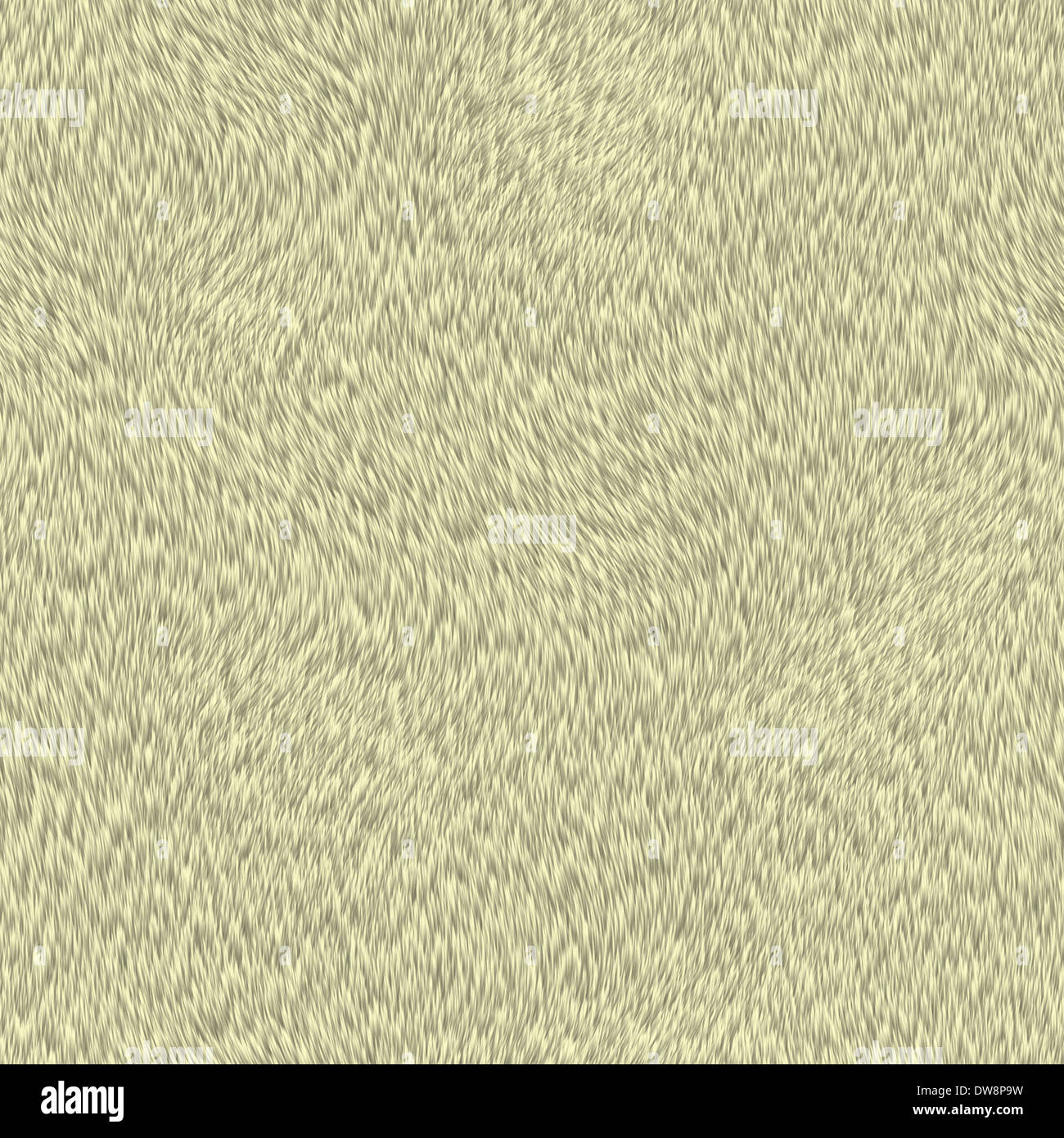 Buffalo fur texture hi-res stock photography and images - Alamy